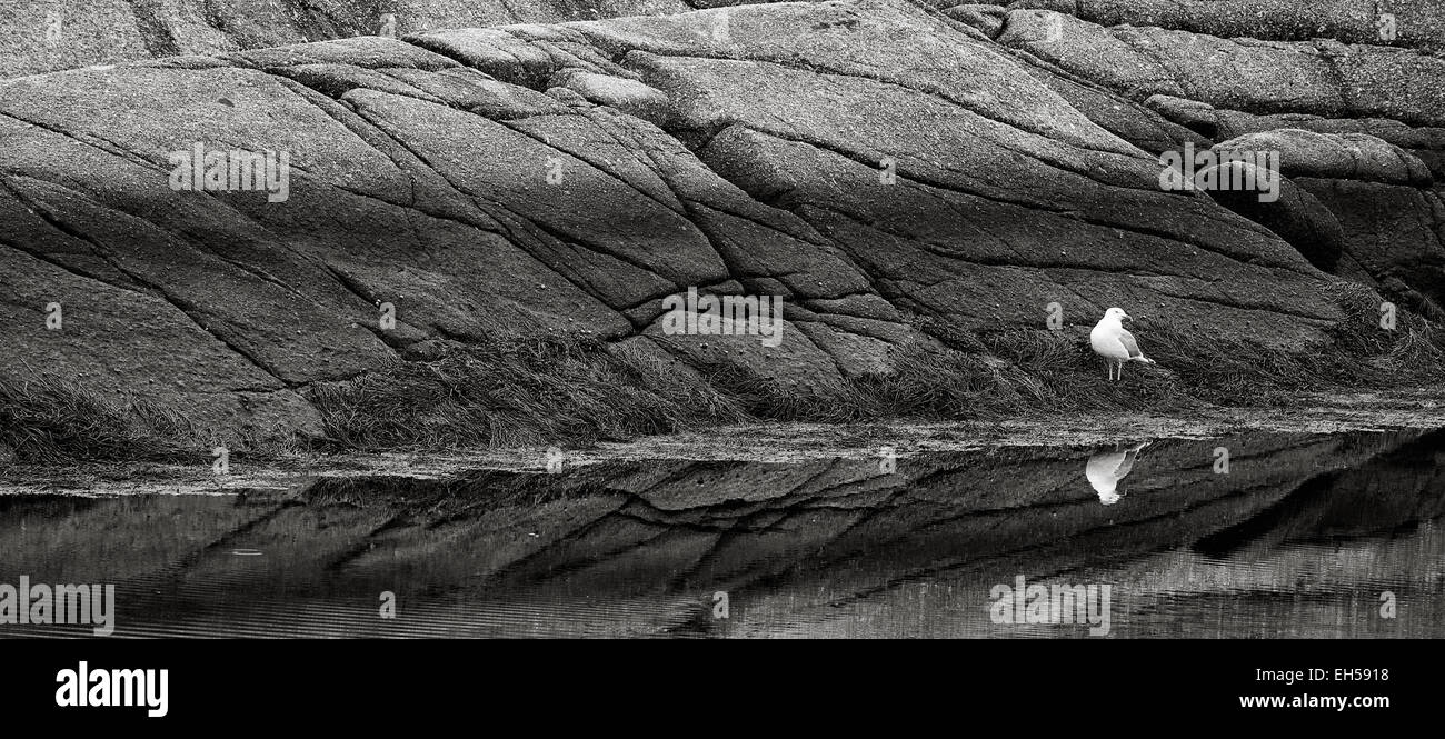 Reflection of granite hi-res stock photography and images - Alamy