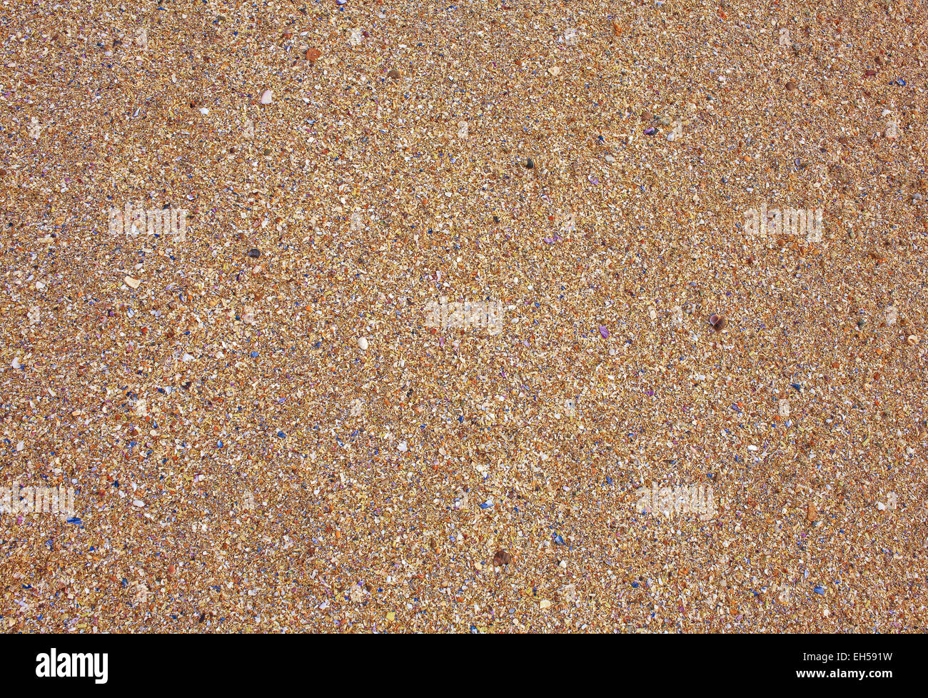 Seashell background hi-res stock photography and images - Alamy