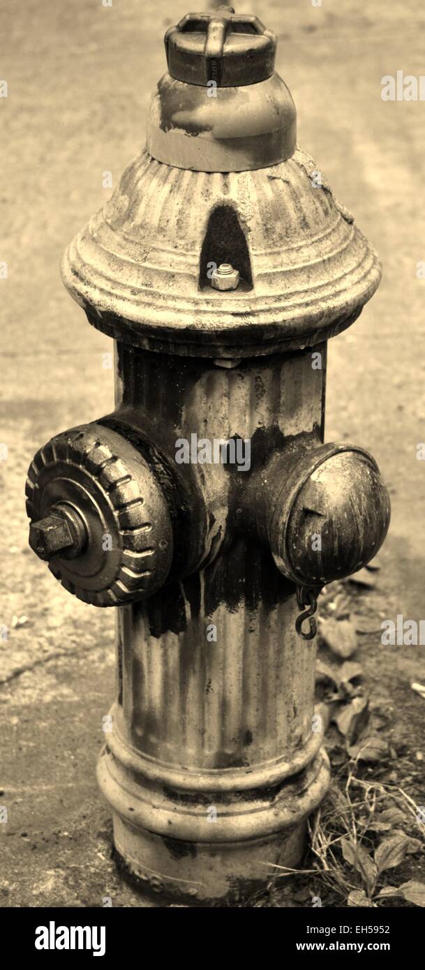 Brooklyn hydrant Stock Photo - Alamy