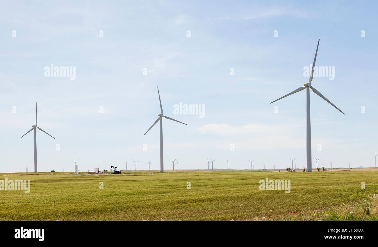 Windmills for generating electricity in hay fields with wind farm and ...
