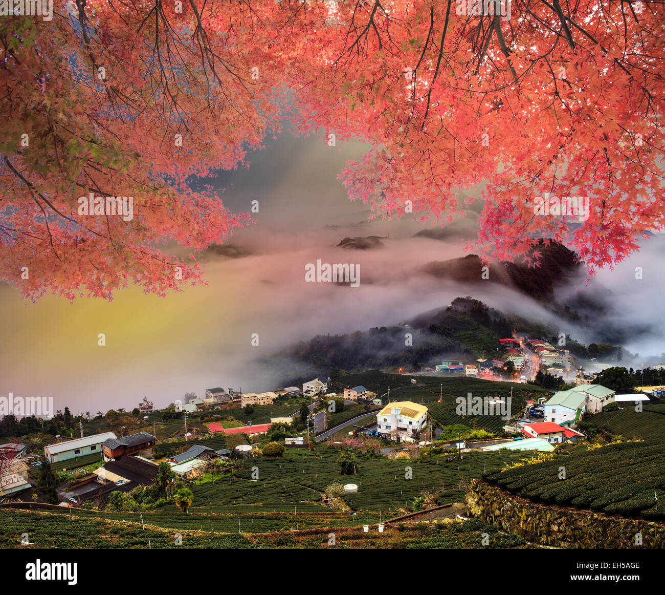 Beautiful fall color adv others hi-res stock photography and images - Alamy