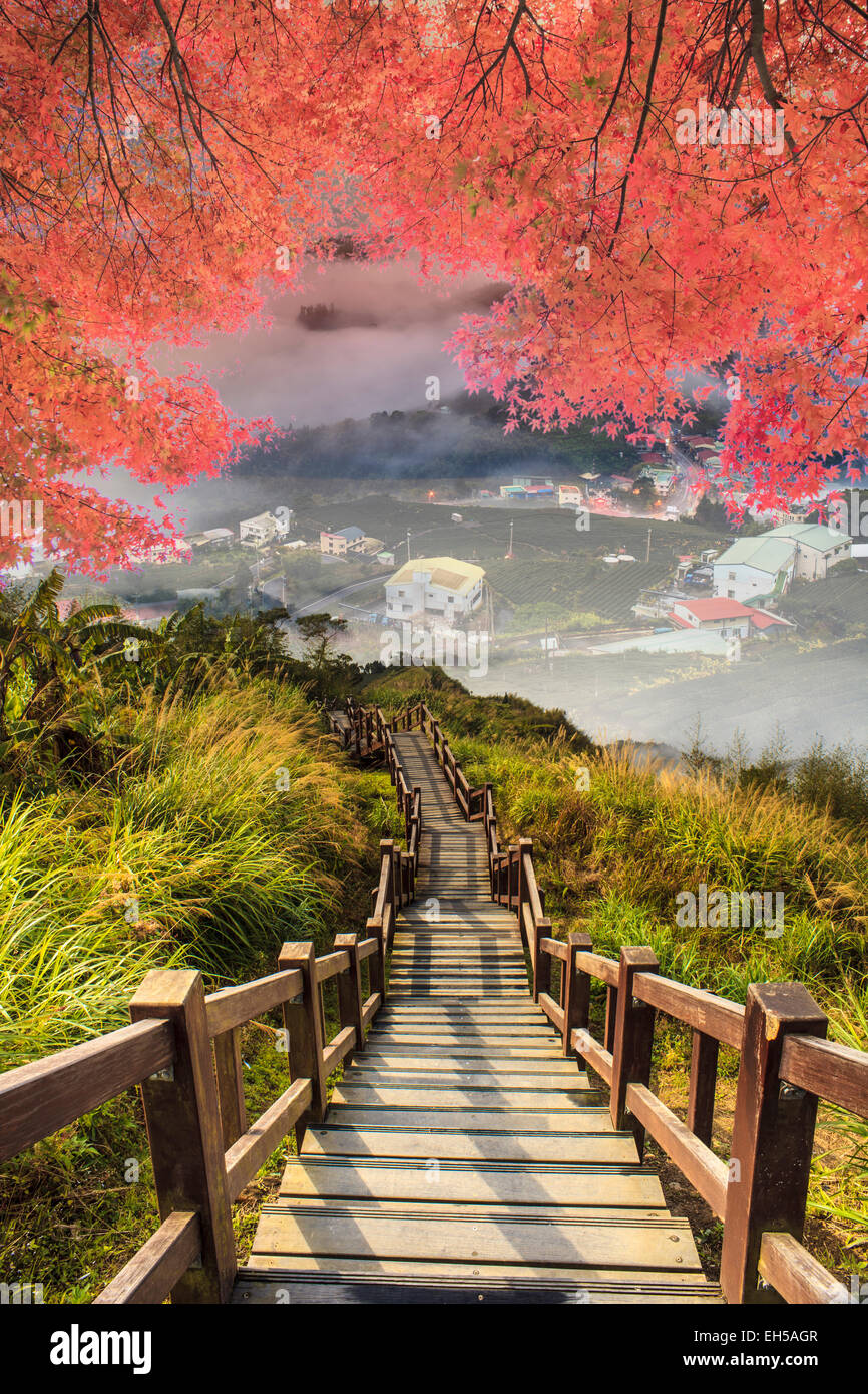 image of beautiful maple place for adv or others purpose use Stock ...