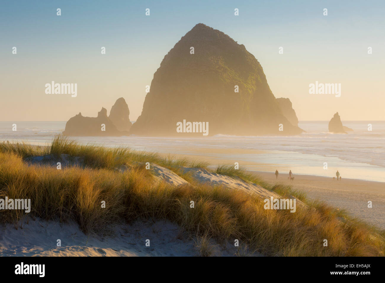 Evening sunlight over Haystack Rock and the Cannon Beach, Oregon, USA ...