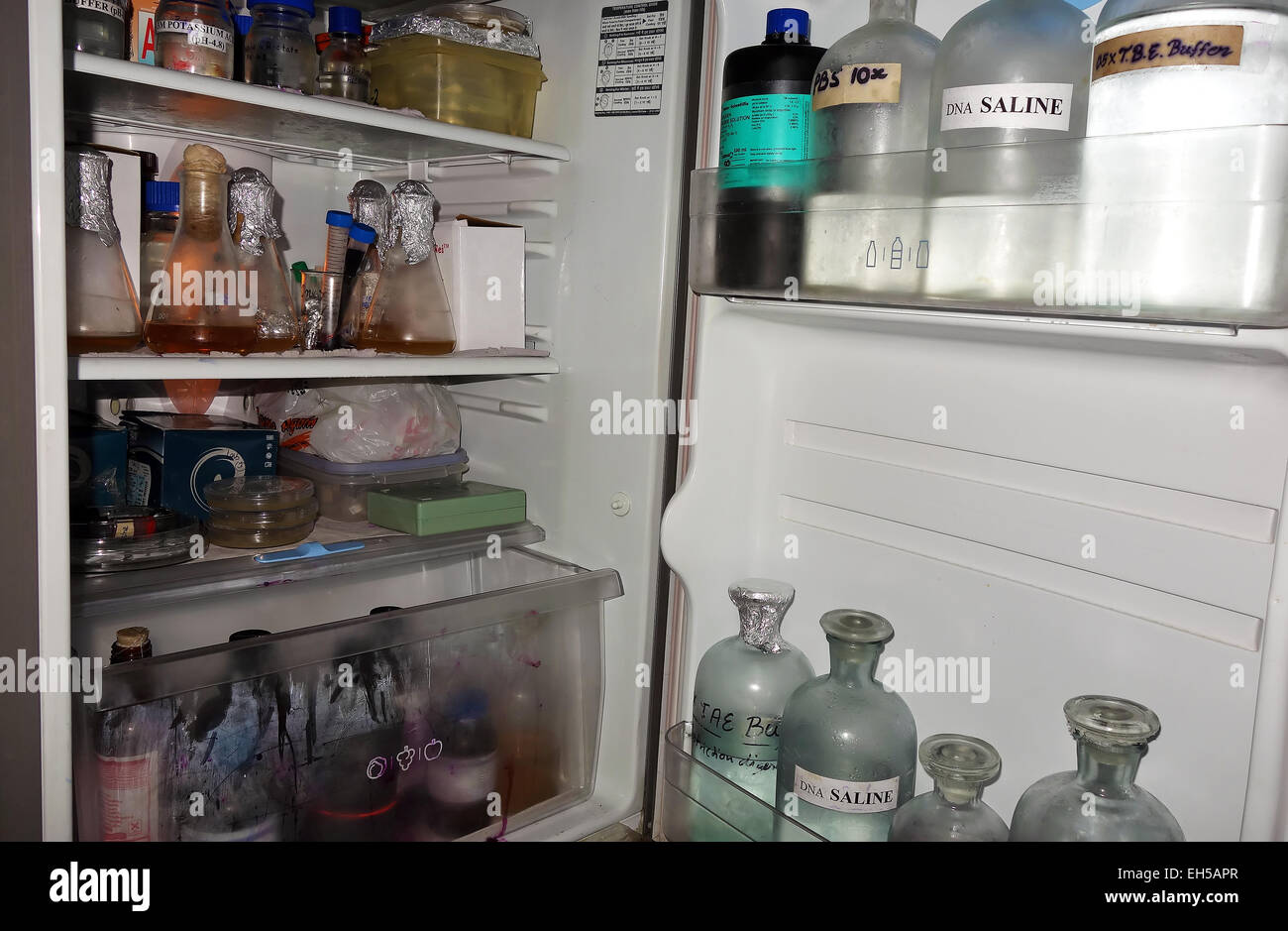 Chemical storage in a laboratory Stock Photo - Alamy