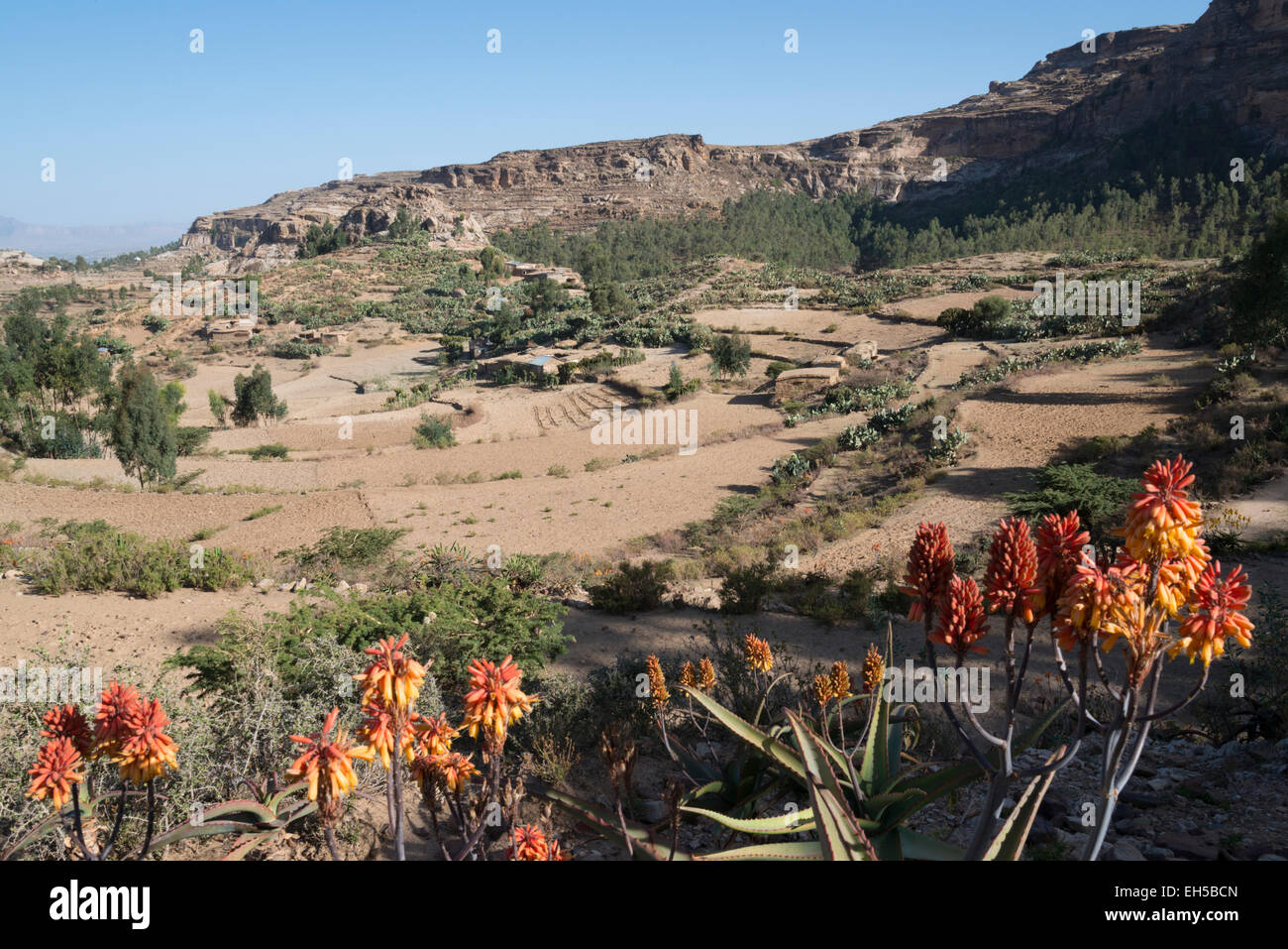 Dinglet village area. Rock hewn churches of Tigray. Northern Ethiopia ...
