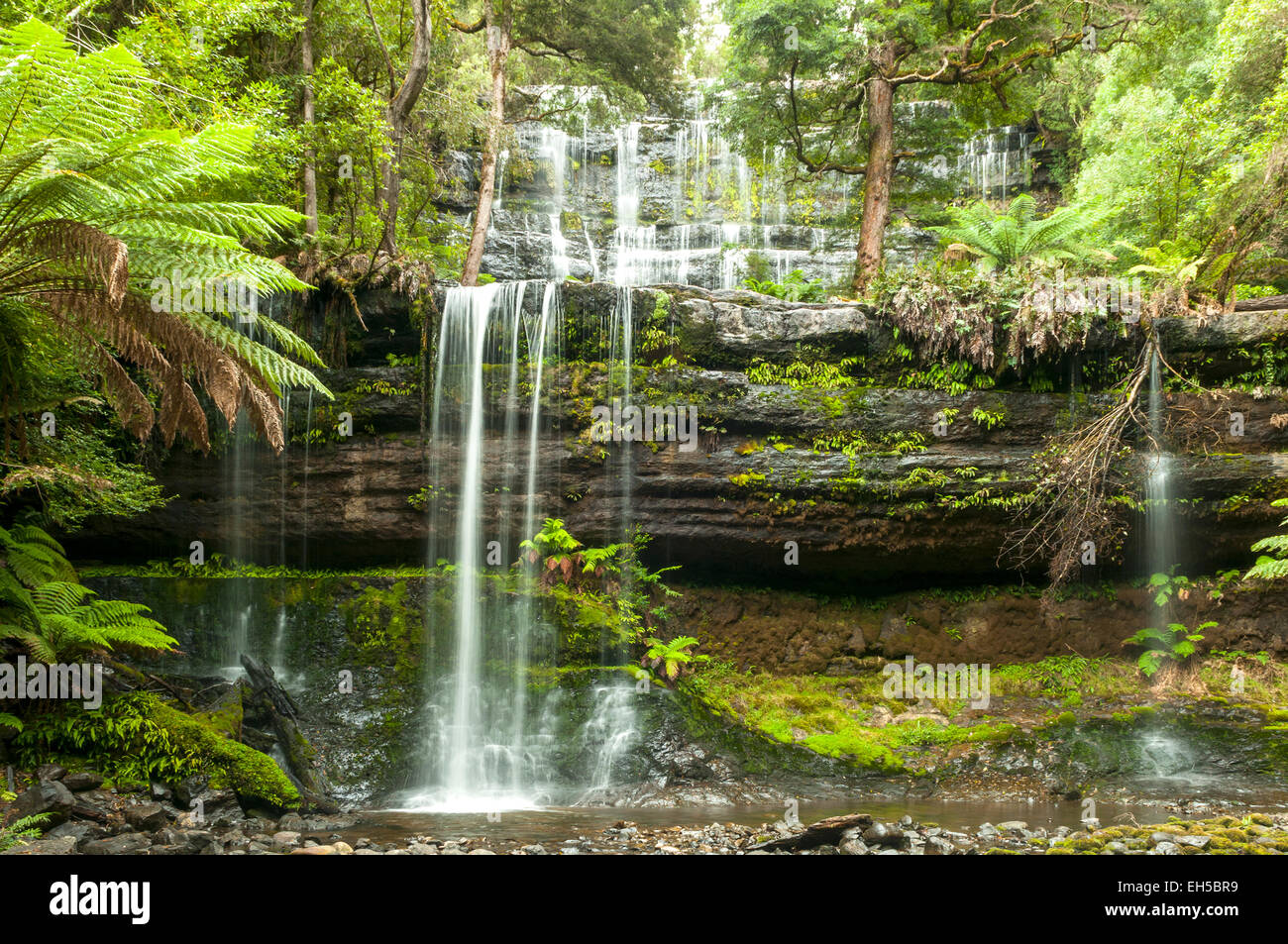 Russell falls, tasmania hi-res stock photography and images - Alamy