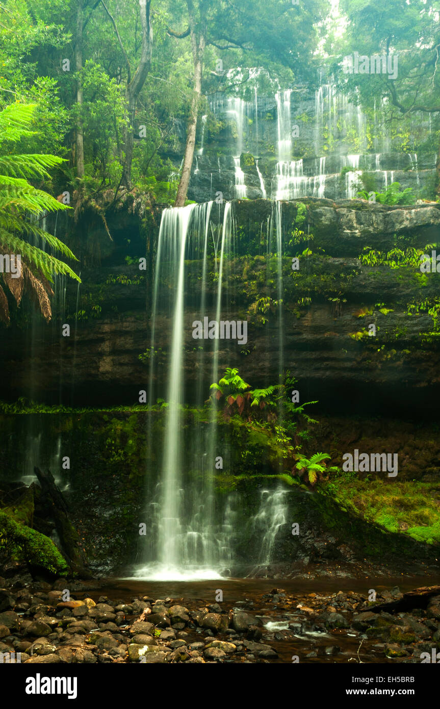 Russell falls, tasmania hi-res stock photography and images - Alamy