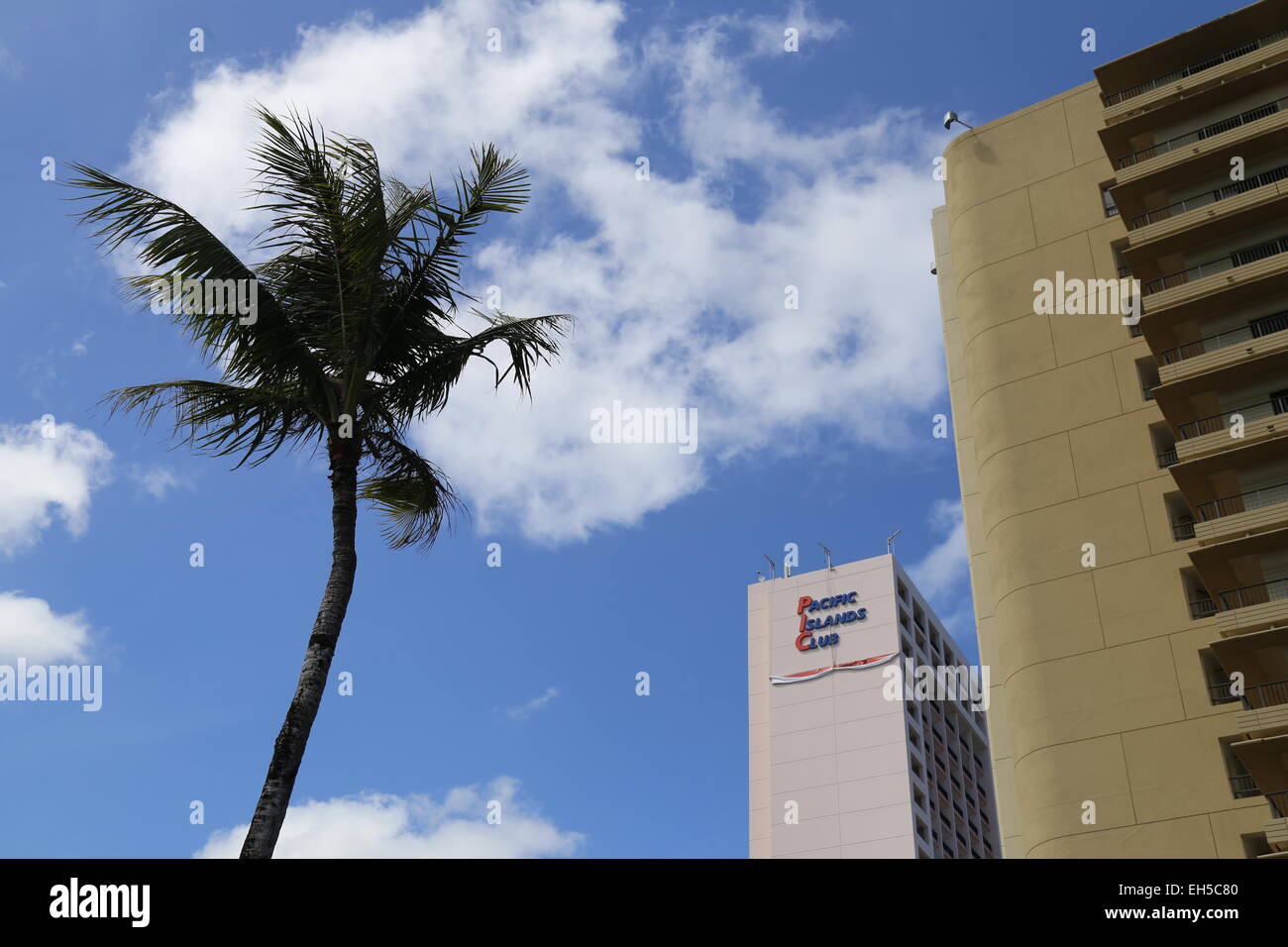 A palm tree and buildings in Guam - March 2015 Stock Photo - Alamy