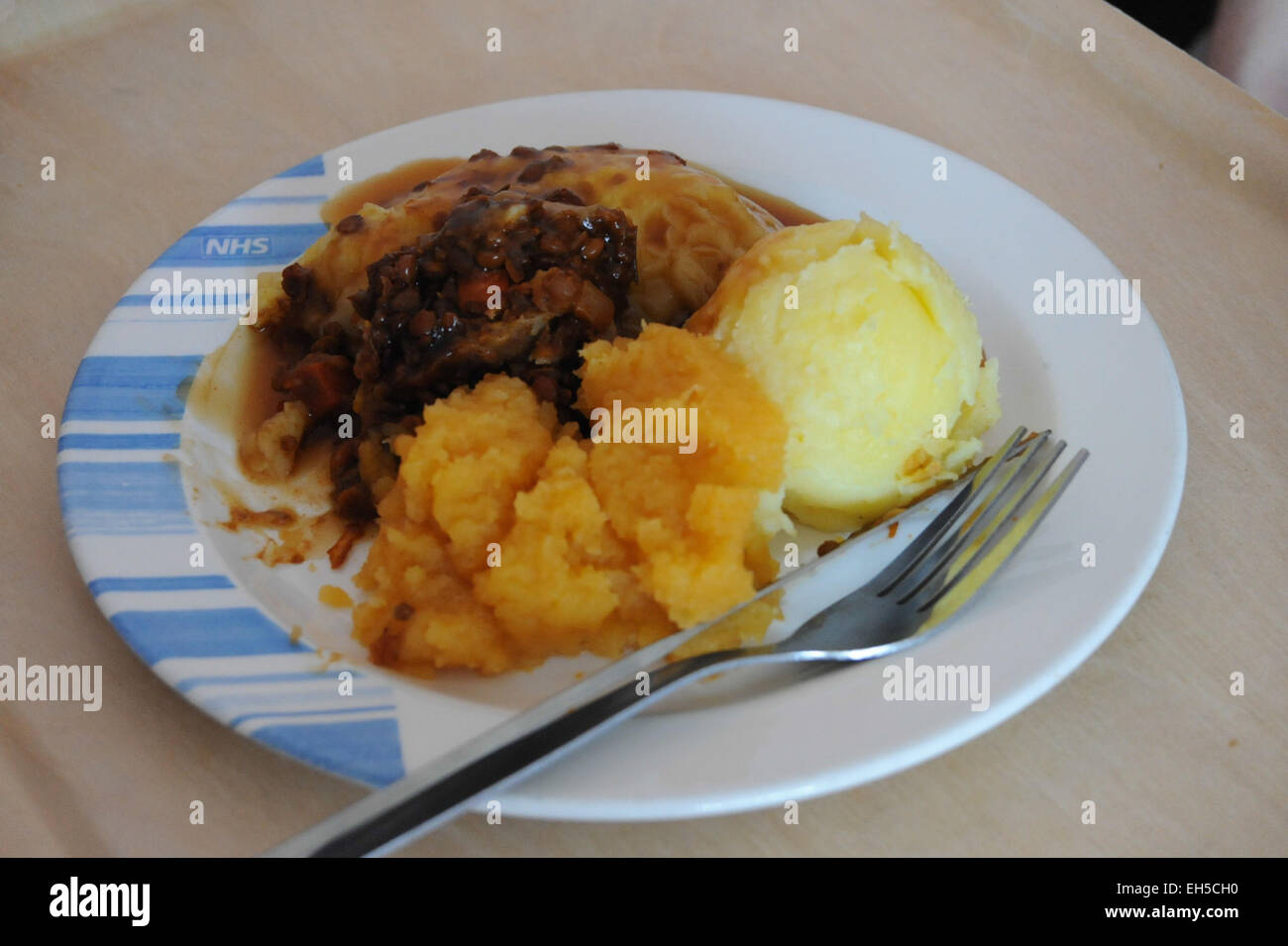 Pureed Hospital Food