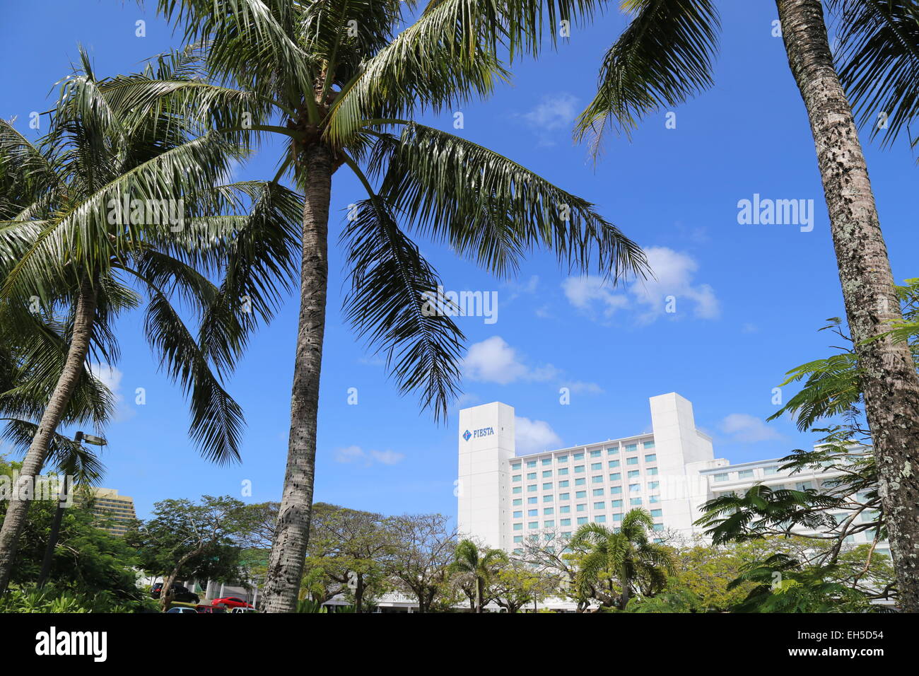 Guam nature hi-res stock photography and images - Alamy