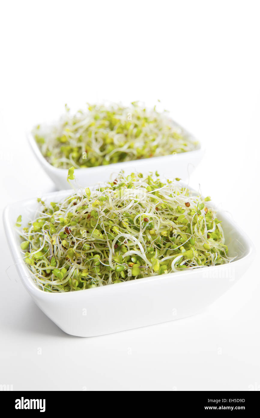 Organic and raw broccoli sprouts in bowls on white background Stock ...