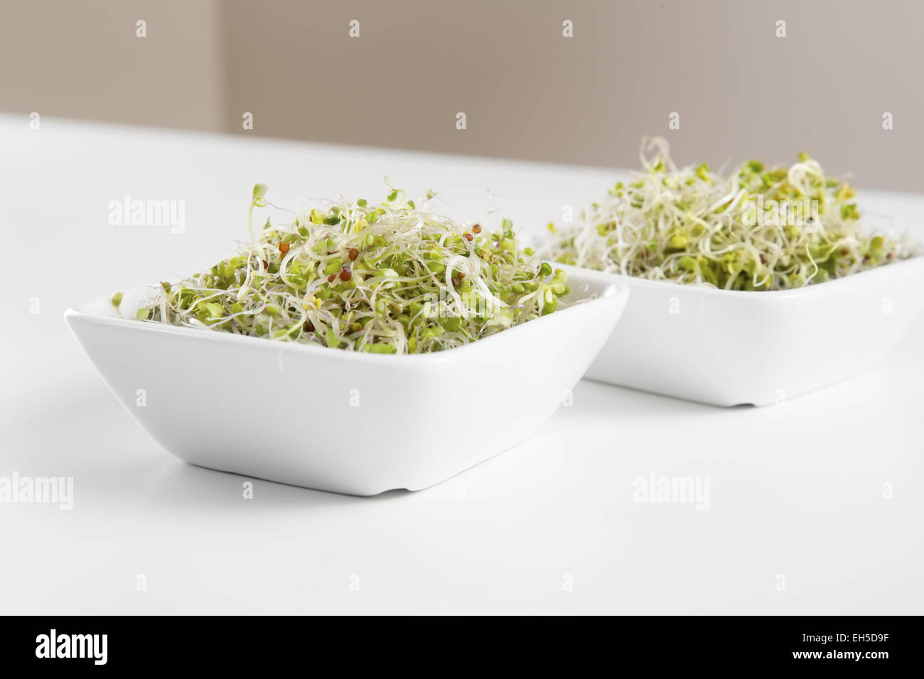 Organic and raw broccoli sprouts on white background Stock Photo - Alamy