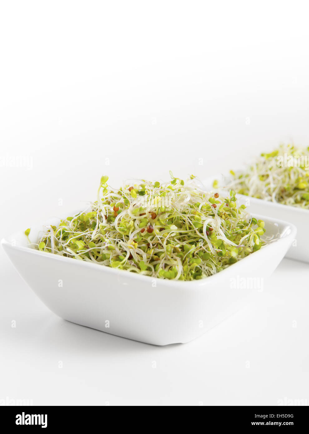 Organic and raw broccoli sprouts on white background Stock Photo - Alamy