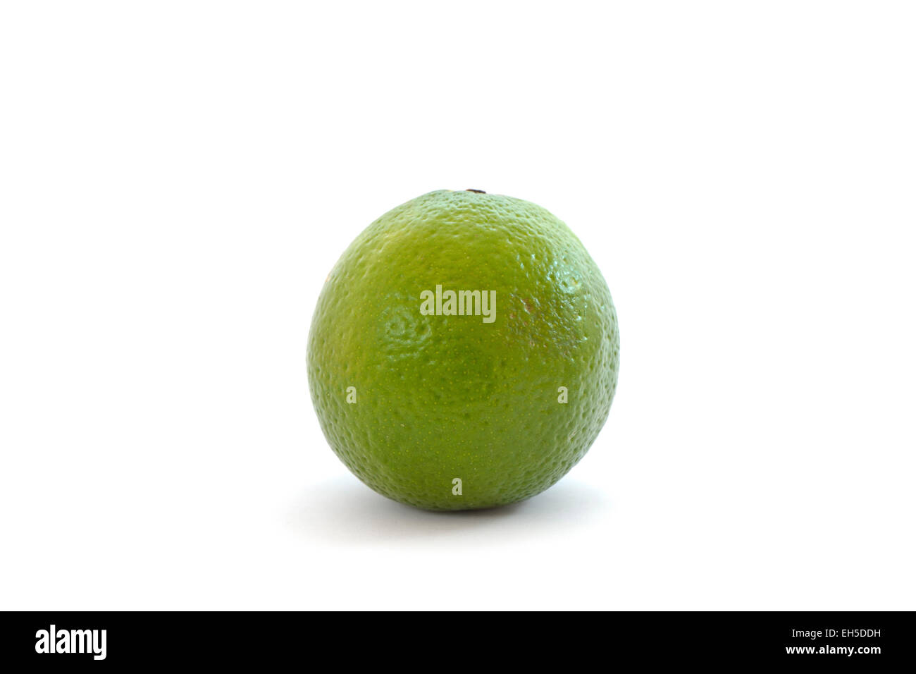 Side view of a fresh organic lime on white background Stock Photo - Alamy
