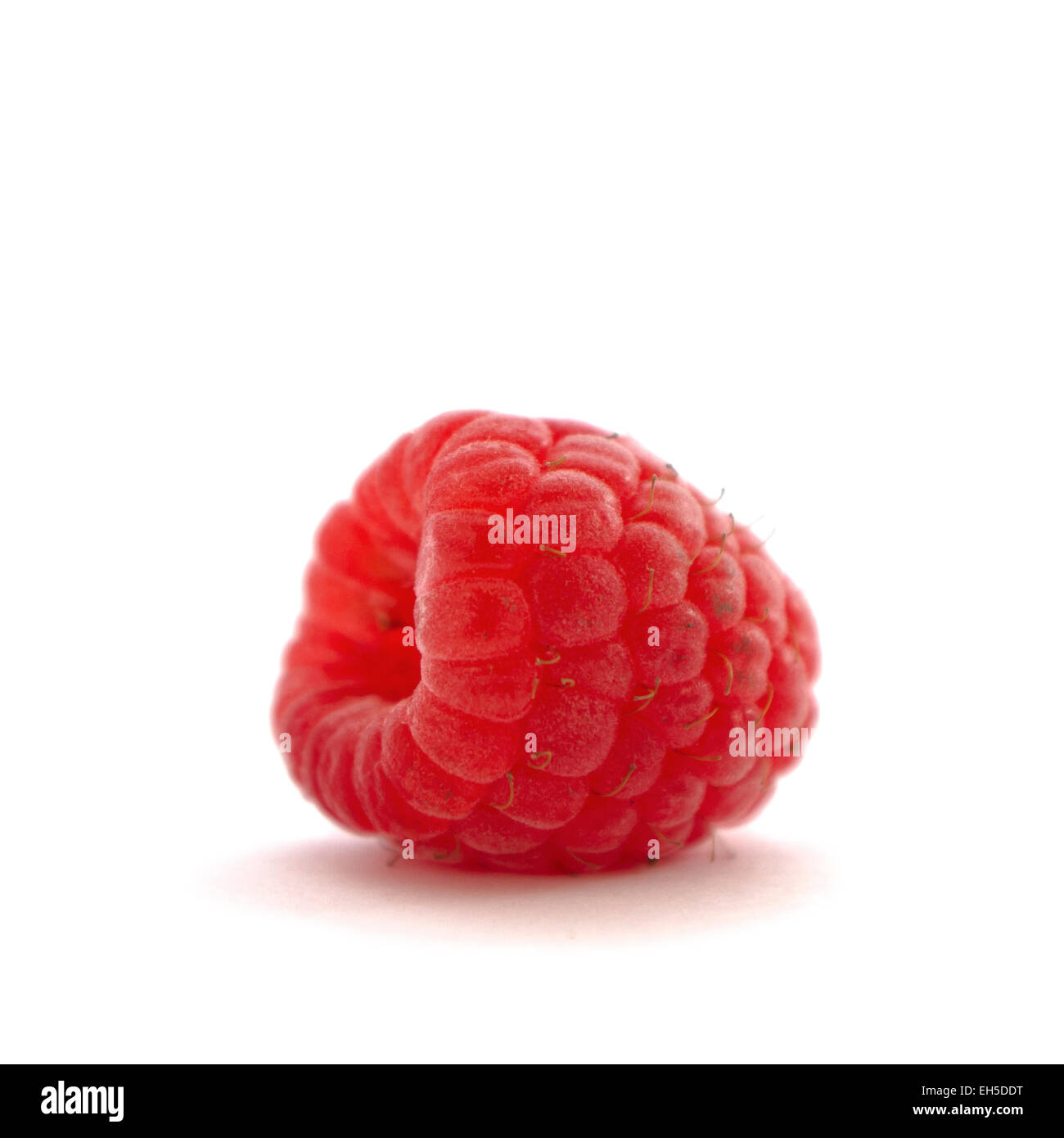 Single fresh raspberry hi-res stock photography and images - Alamy