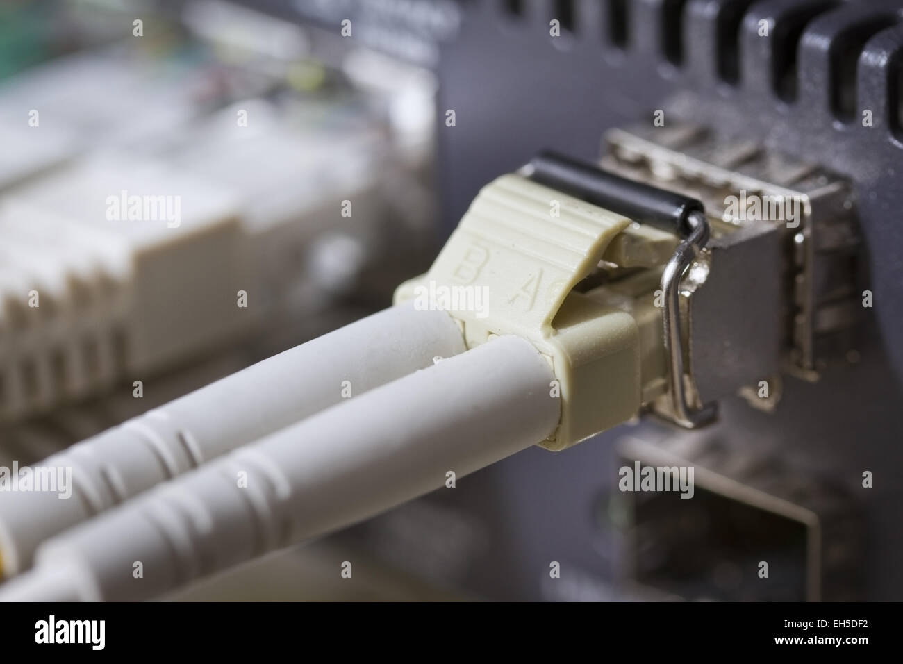 A fiber cable in a switch. Shot in a datacenter Stock Photo - Alamy