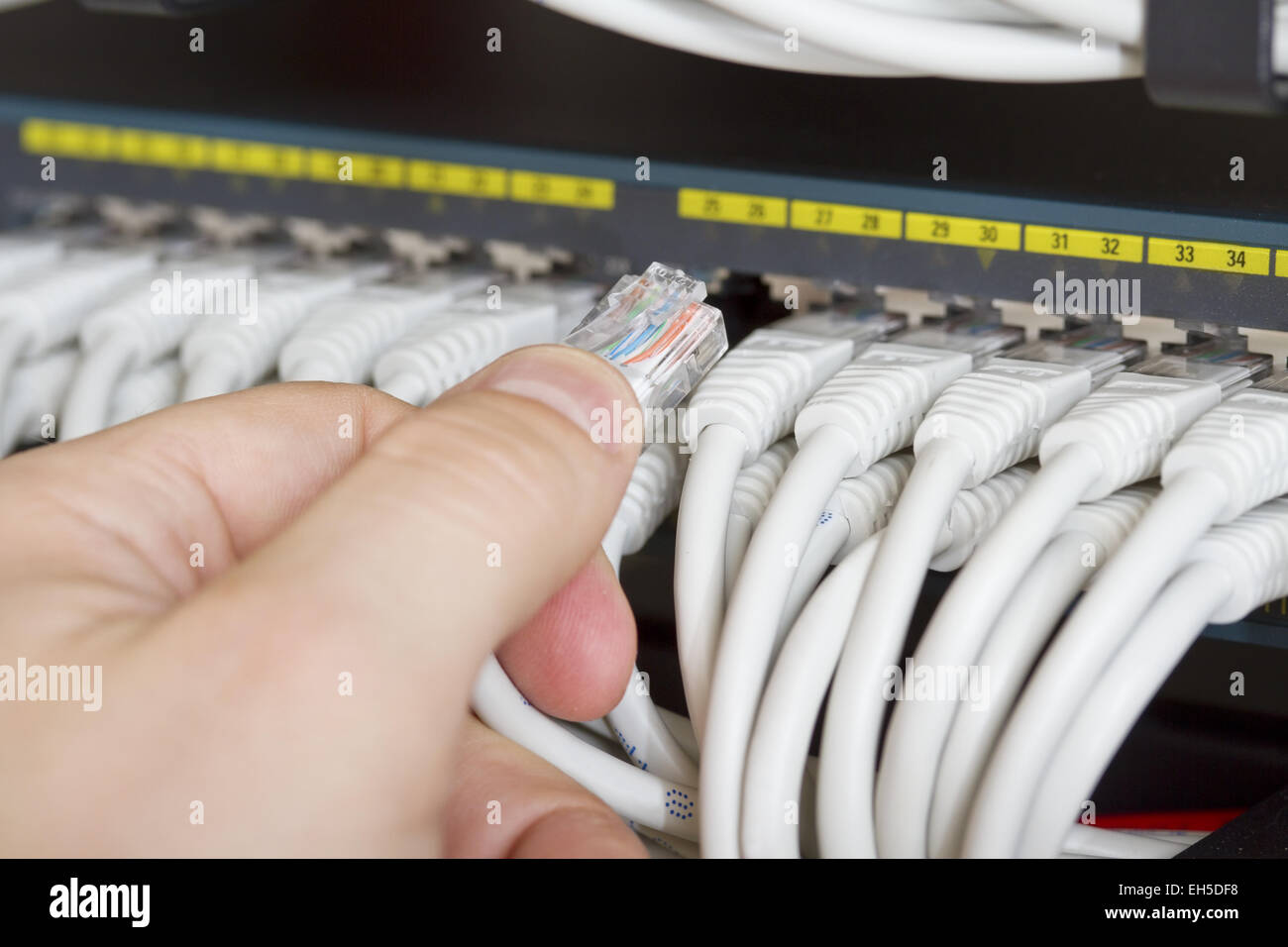 Close up of a IT consultant inserting / connecting a network cable into ...