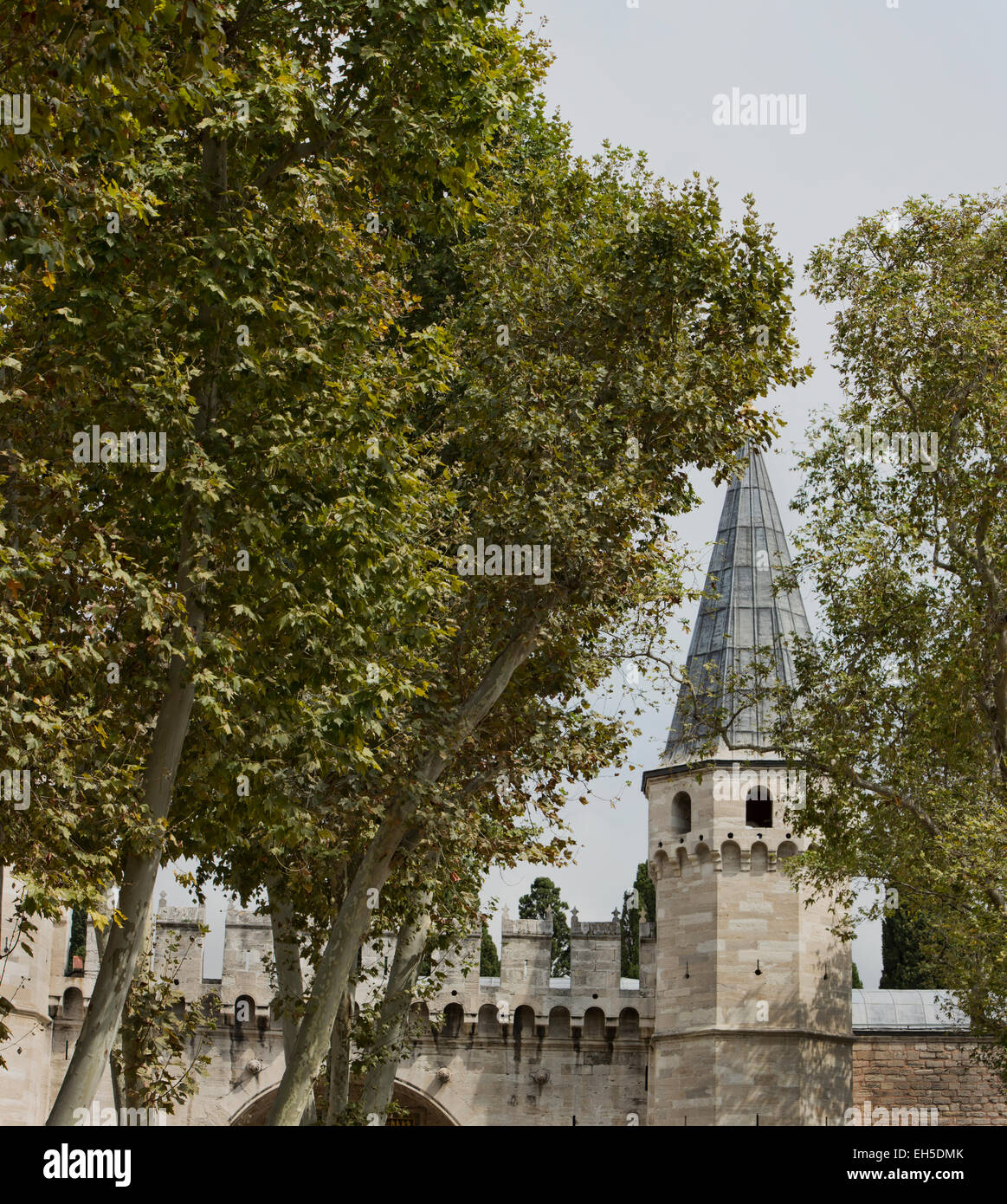 Istanbul, Turkey tower trees Topkapi Palace Stock Photo - Alamy