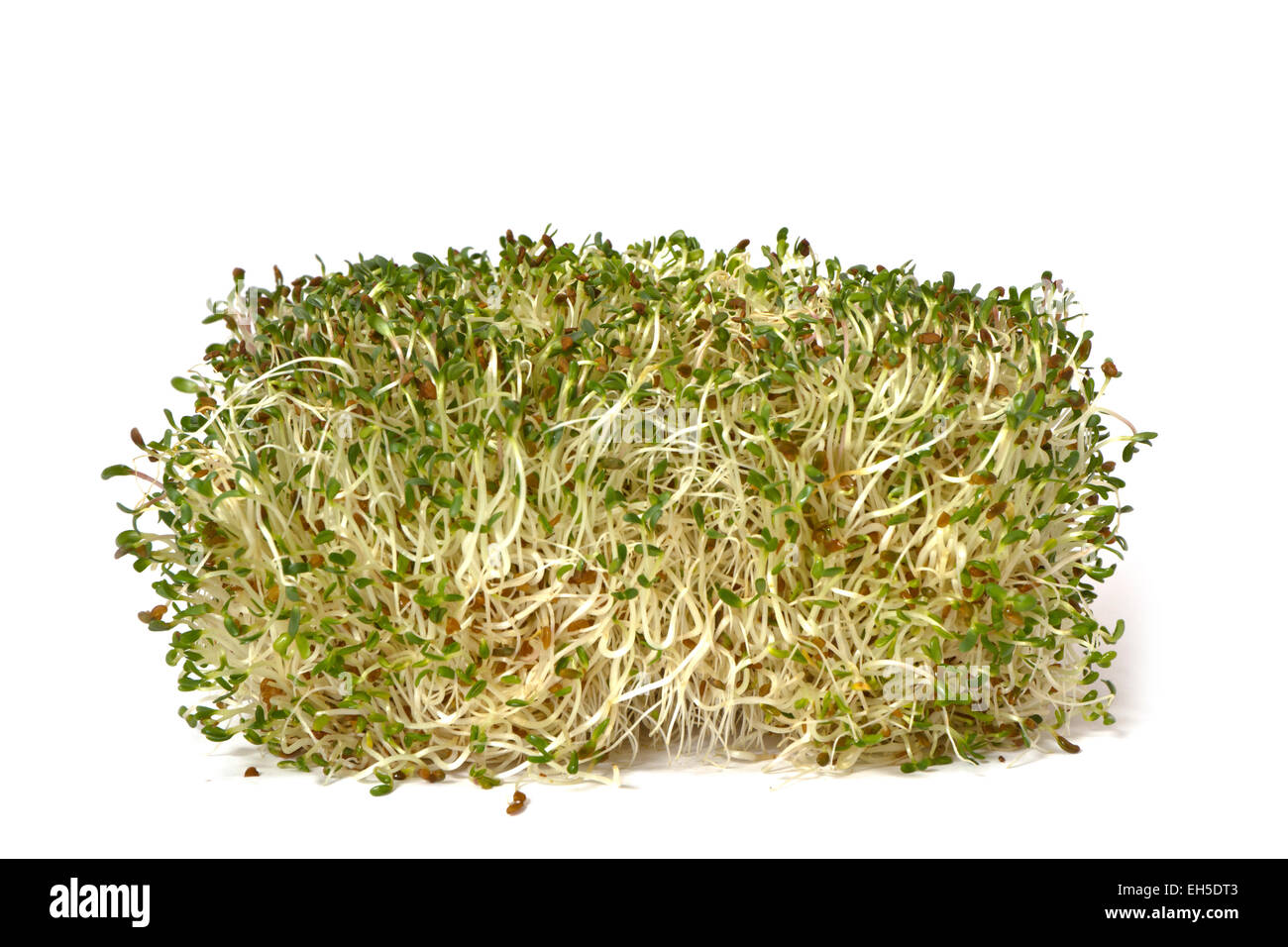 Alphalpha hi-res stock photography and images - Alamy