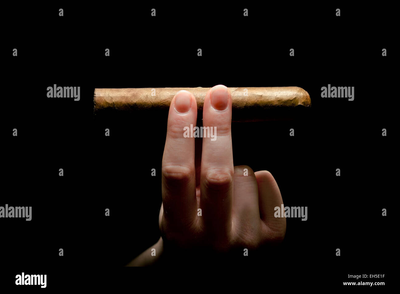 Woman holds a exclusive cuban cigar. Give away a cigar Stock Photo - Alamy