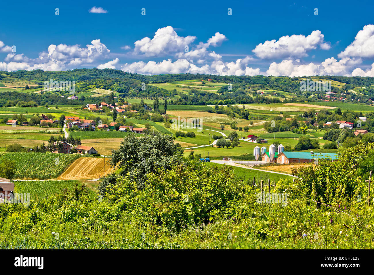 Farmland croatia hi-res stock photography and images - Alamy