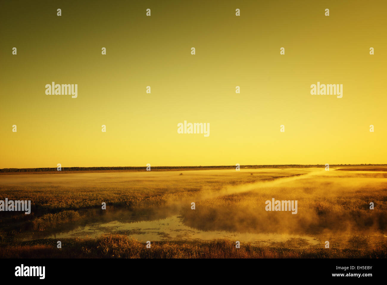 Nightmare landscape hi-res stock photography and images - Alamy