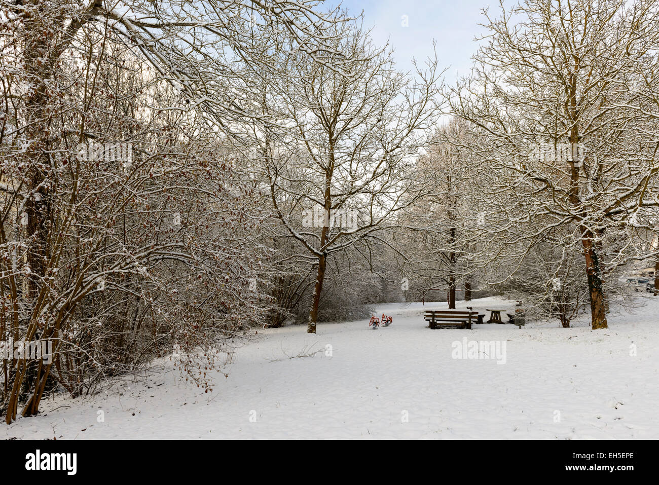 winter landscape with trees covered with recent snow in small ...