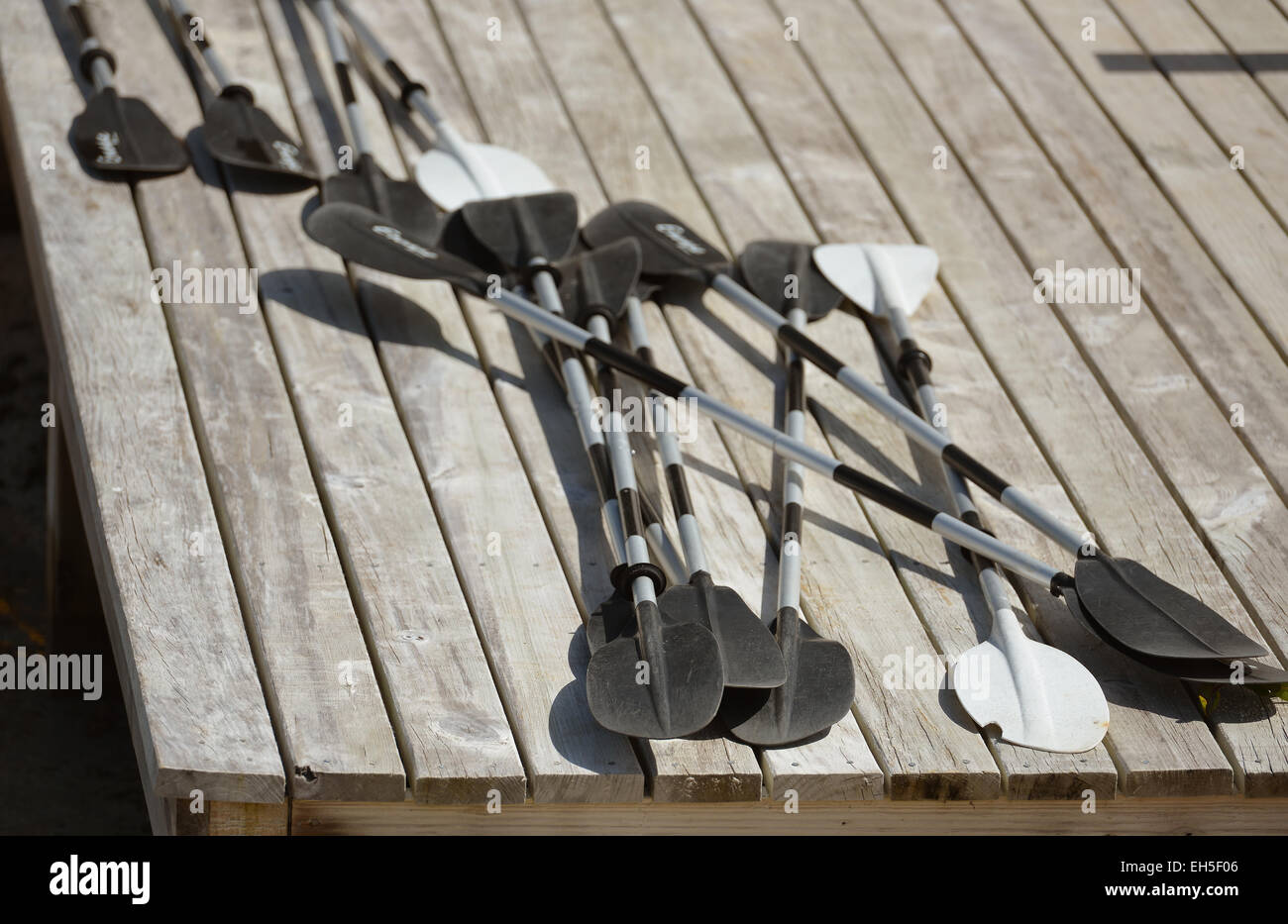 Black paddles hi-res stock photography and images - Alamy