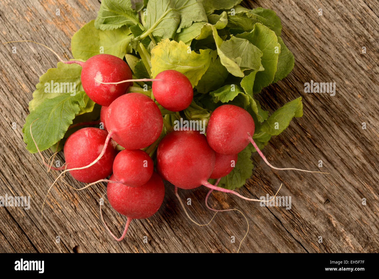 Red radish placed on old wood texture Stock Photo - Alamy