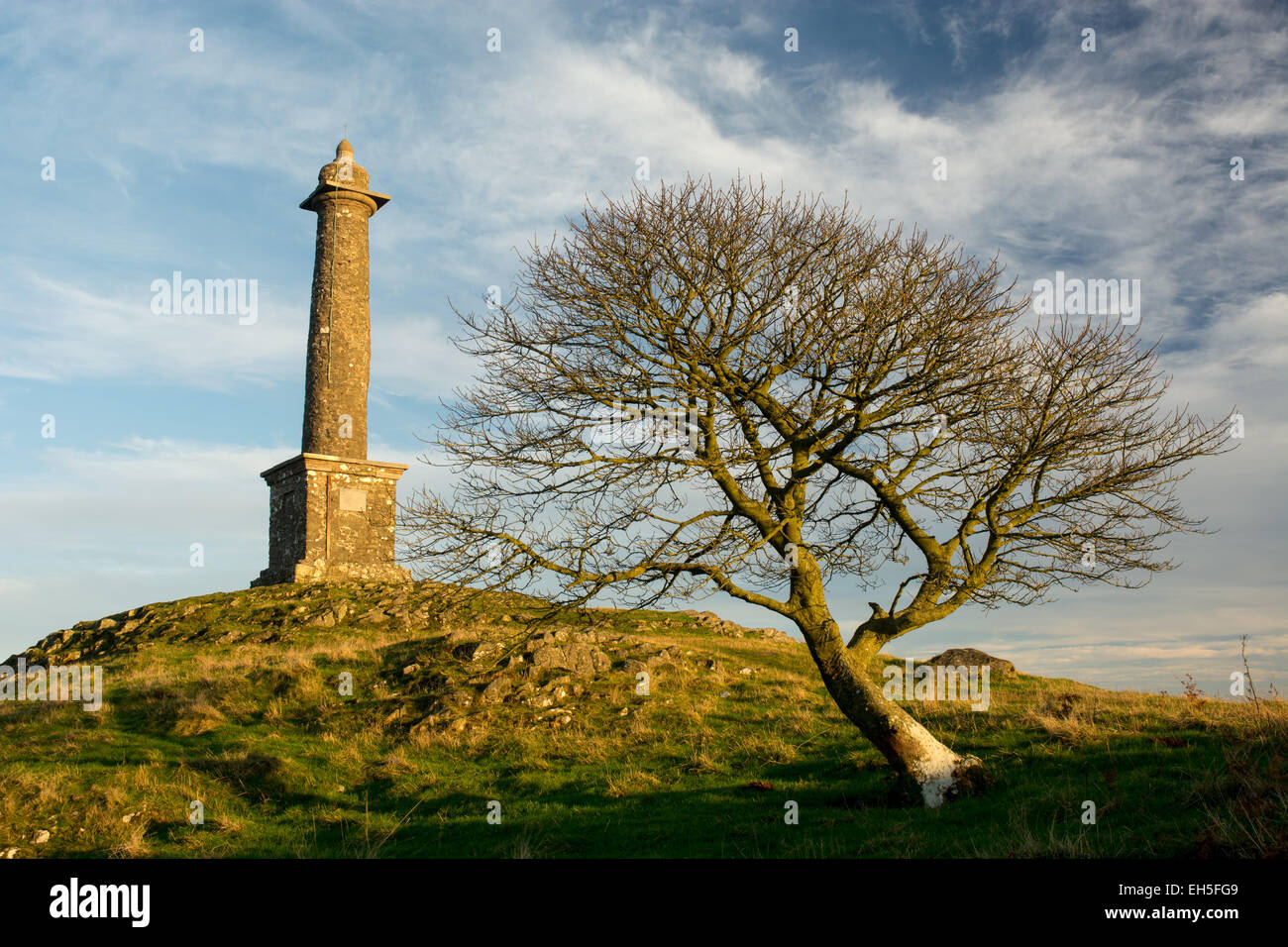 Rodney's Pillar, Briedden Hills, Powys, Wales Stock Photo - Alamy