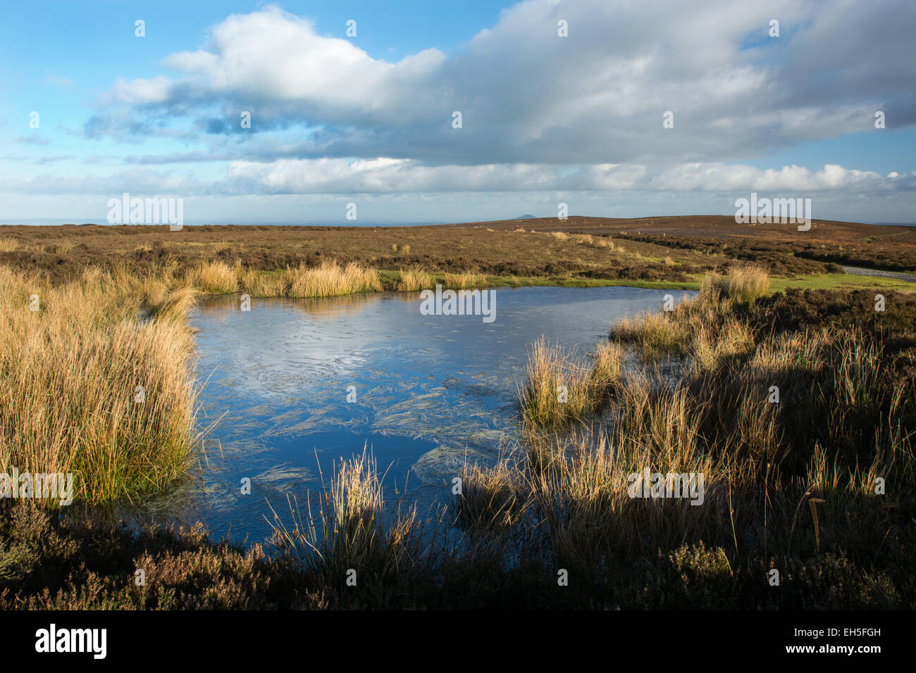 Long mynd blue sky hi-res stock photography and images - Alamy