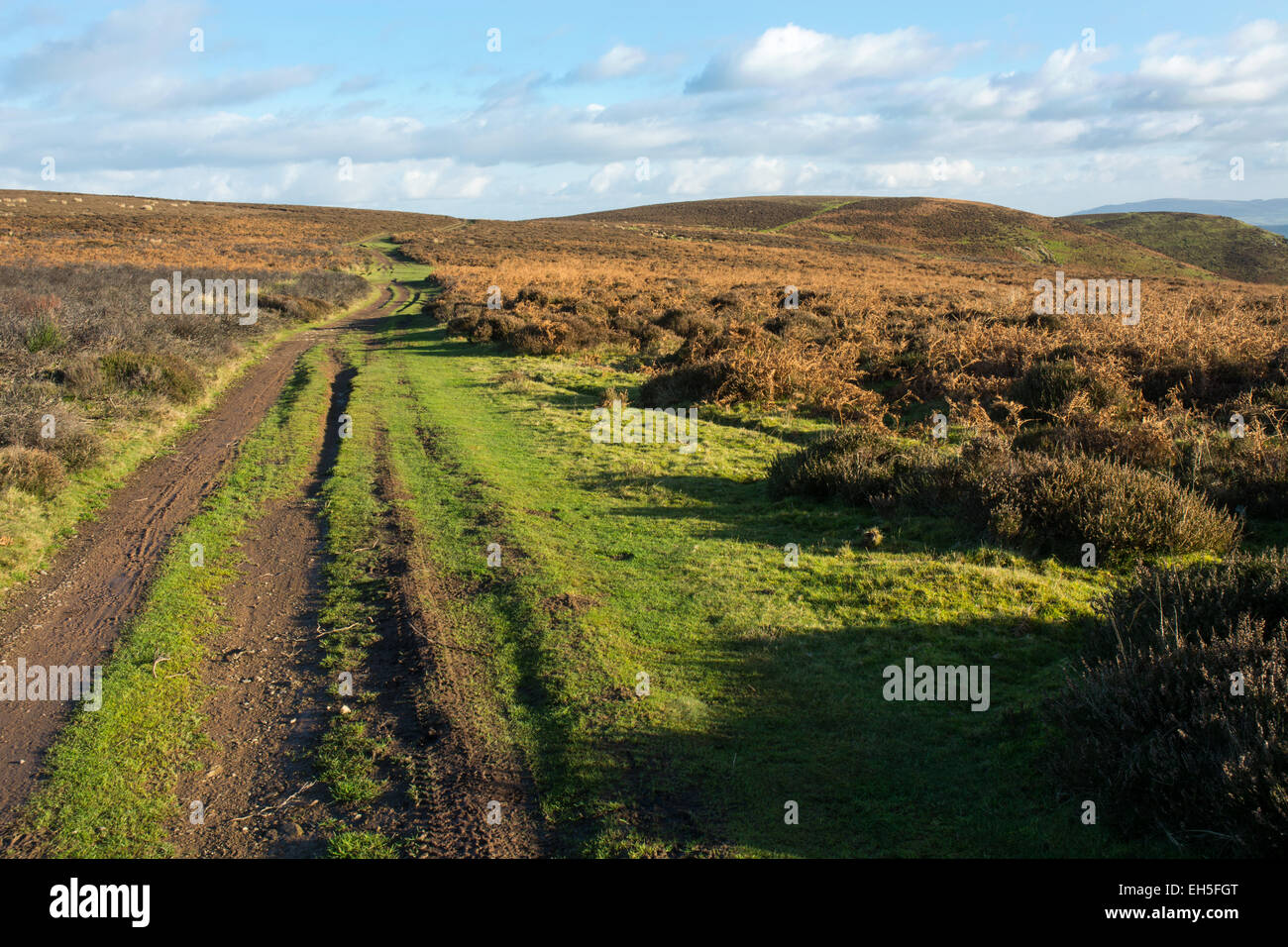 Track across the Long Mynd, Shropshire, on a winter's day Stock Photo ...