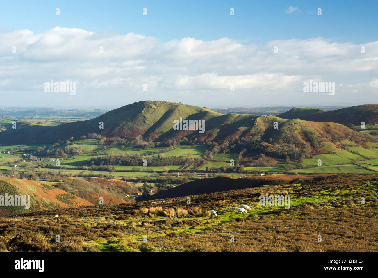 Sunshine on a winters day hi-res stock photography and images - Alamy