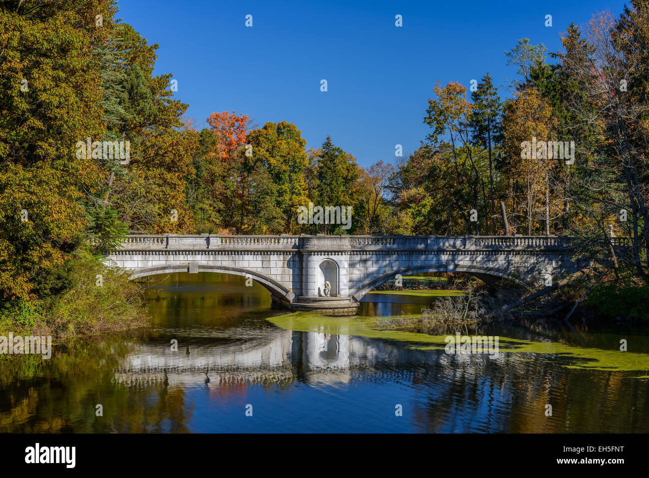 Natural cal hi-res stock photography and images - Alamy