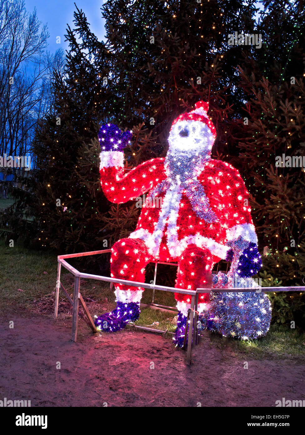 Christmas lights Santa clause under the pine tree Stock Photo - Alamy