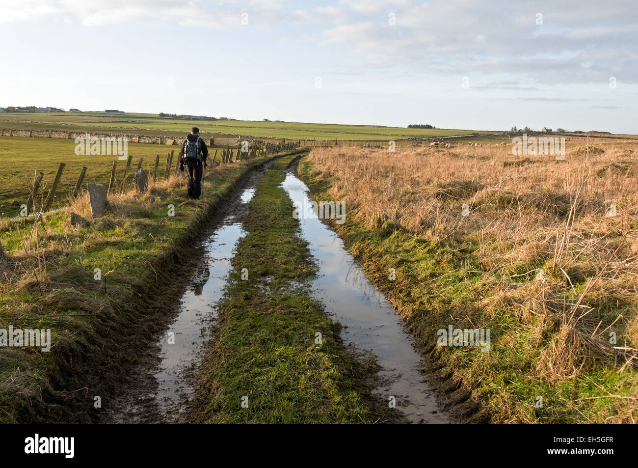 Mud ruts hi-res stock photography and images - Alamy