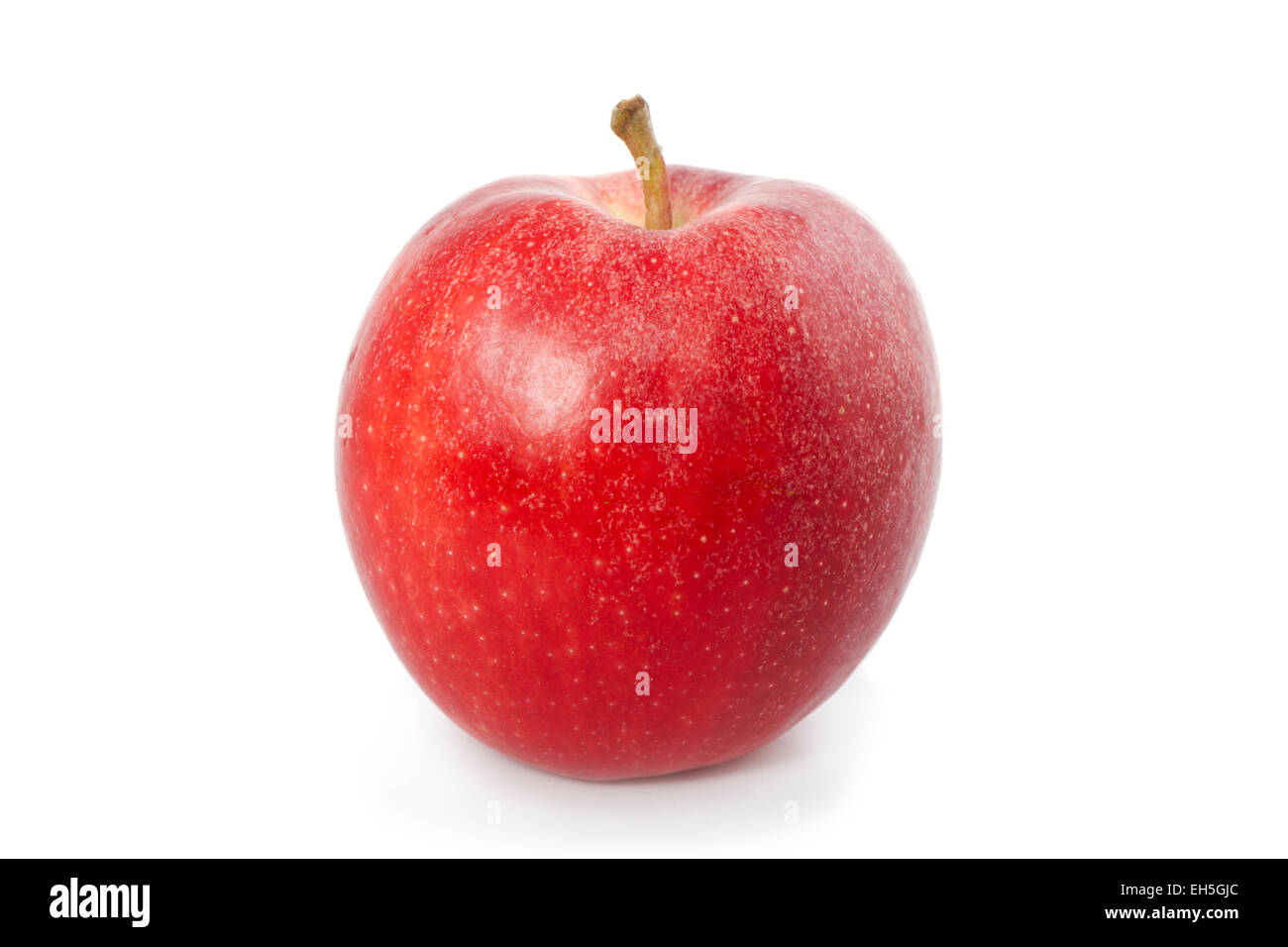 Side view of a fresh organic mixed red apple on white background Stock ...