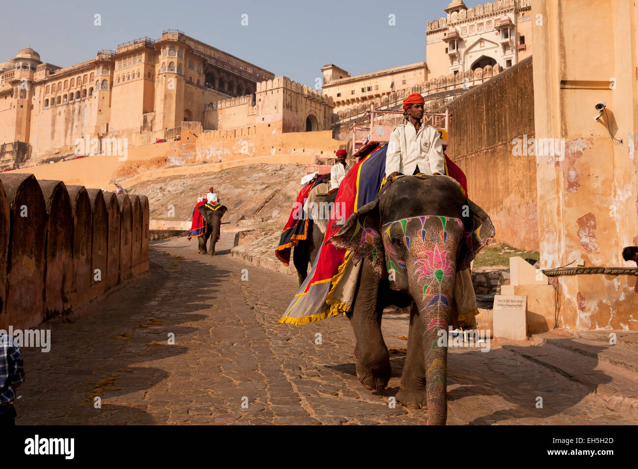 Tourist Elephant Ride to Amber Fort, Jaipur, Rajasthan, India, Asia ...