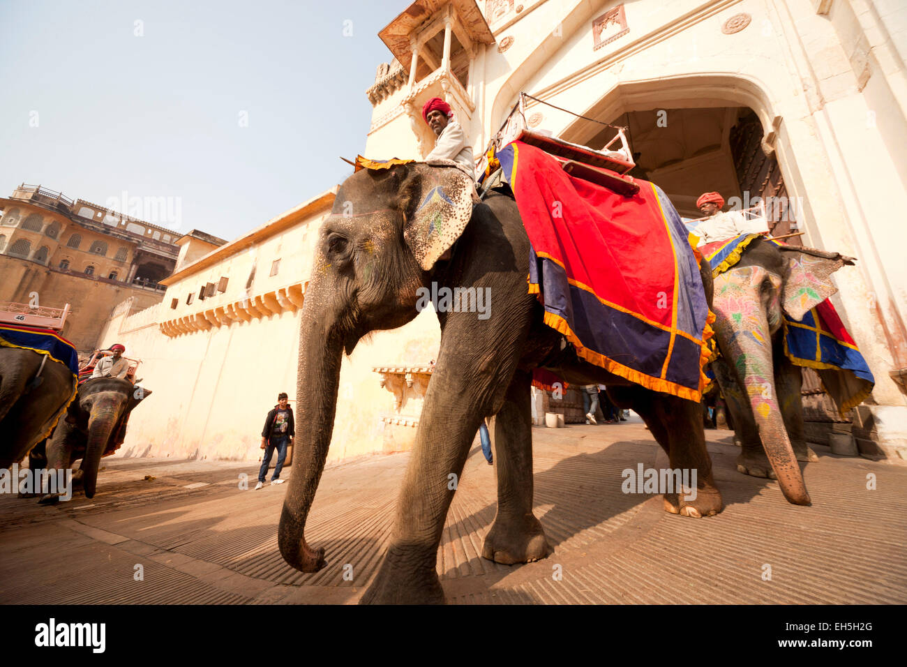 Amber fort jaipur rajasthan hi-res stock photography and images - Alamy