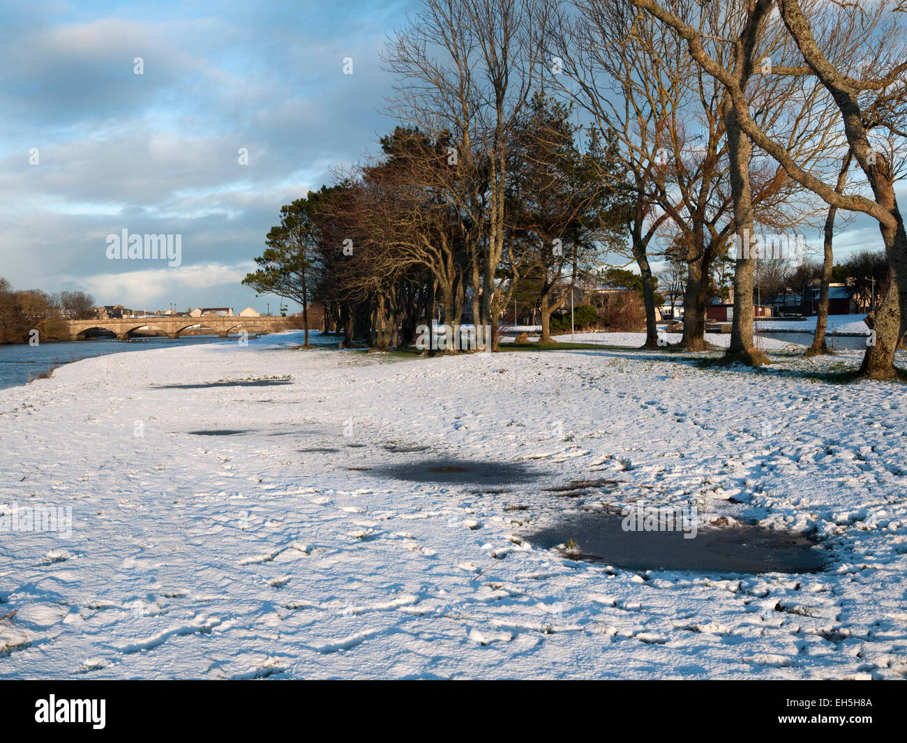 Riverside trees hi-res stock photography and images - Alamy