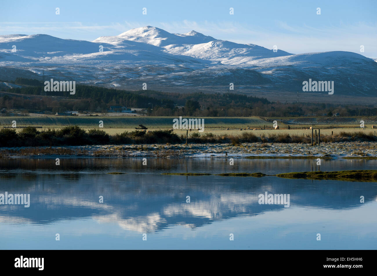 Carn salachaidh hi-res stock photography and images - Alamy