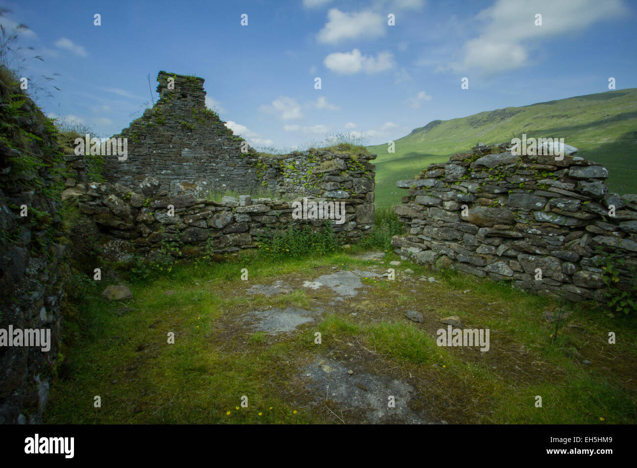 The inside of an old stone cottage in ruins in the Bluestack mountains ...