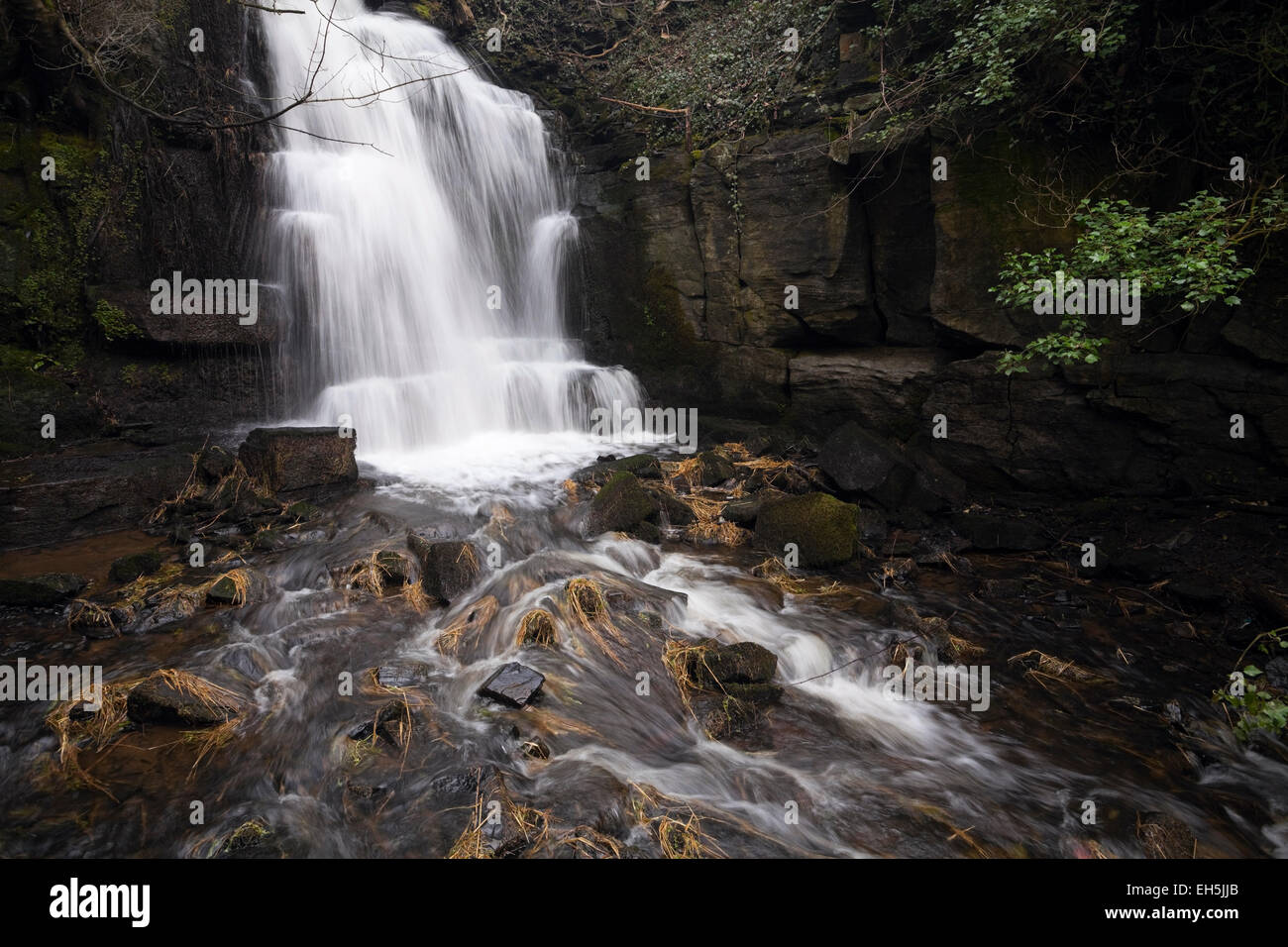Harmby Waterfall in Wensleydale, Yorkshire, UK Stock Photo - Alamy