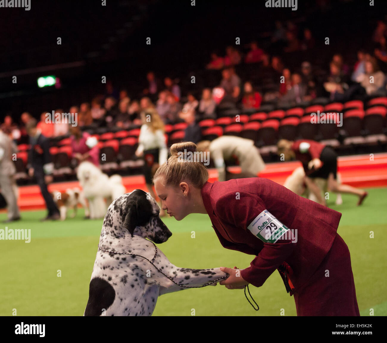 International junior handling competition hi-res stock photography and ...
