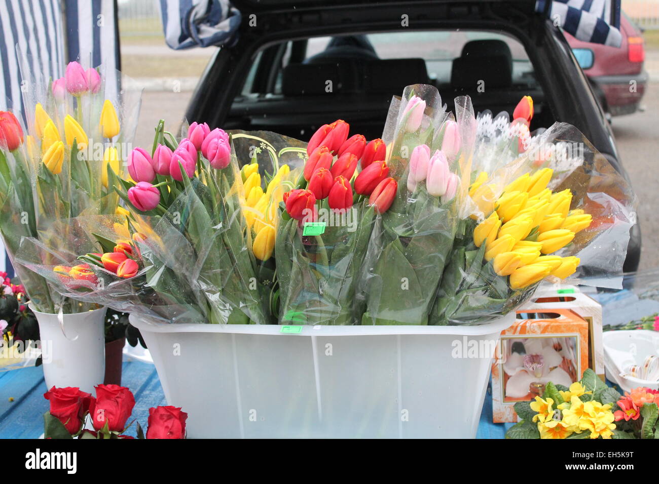beautiful colorful tulips on the spring flower market Stock Photo - Alamy