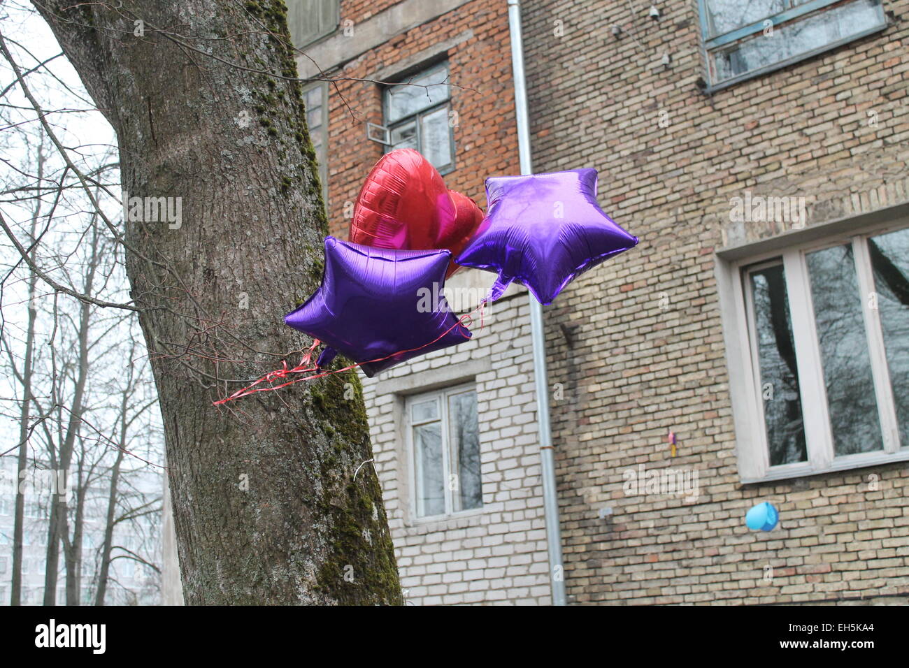 light colorful balloons shape of star and heart tie to the tree Stock ...