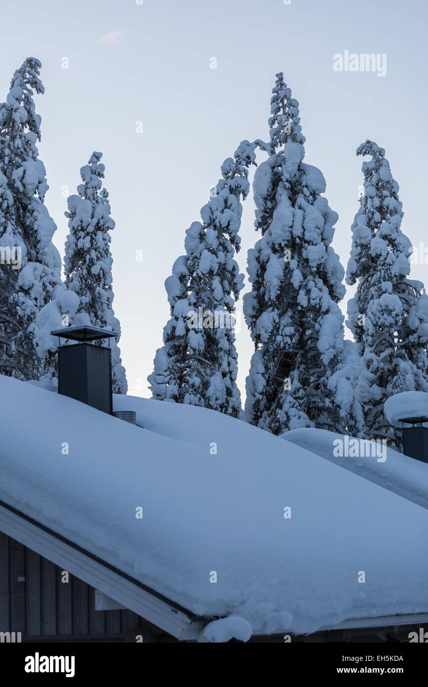 Frozen snowy winter forest scene Stock Photo - Alamy