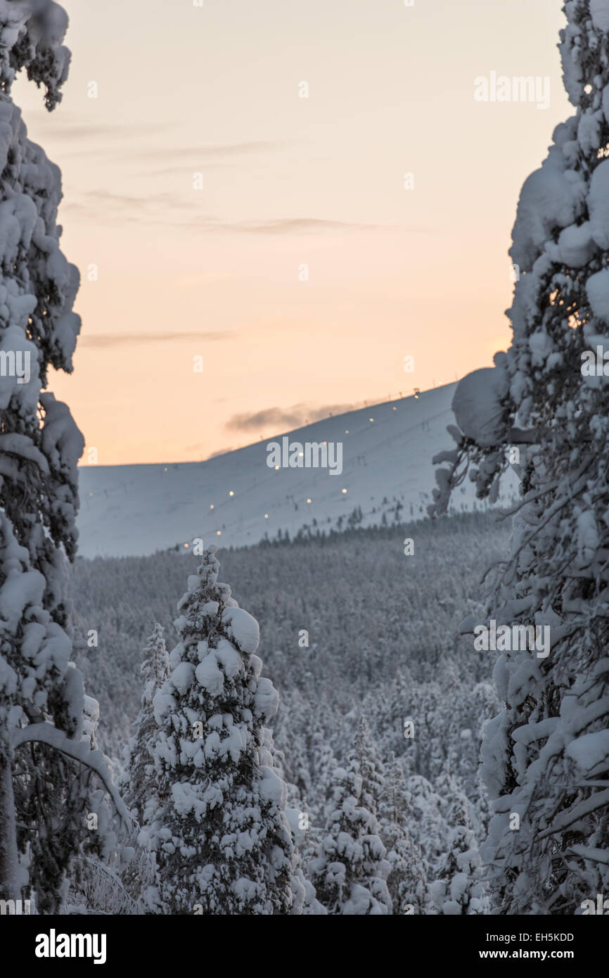 Frozen snowy winter forest scene Stock Photo - Alamy