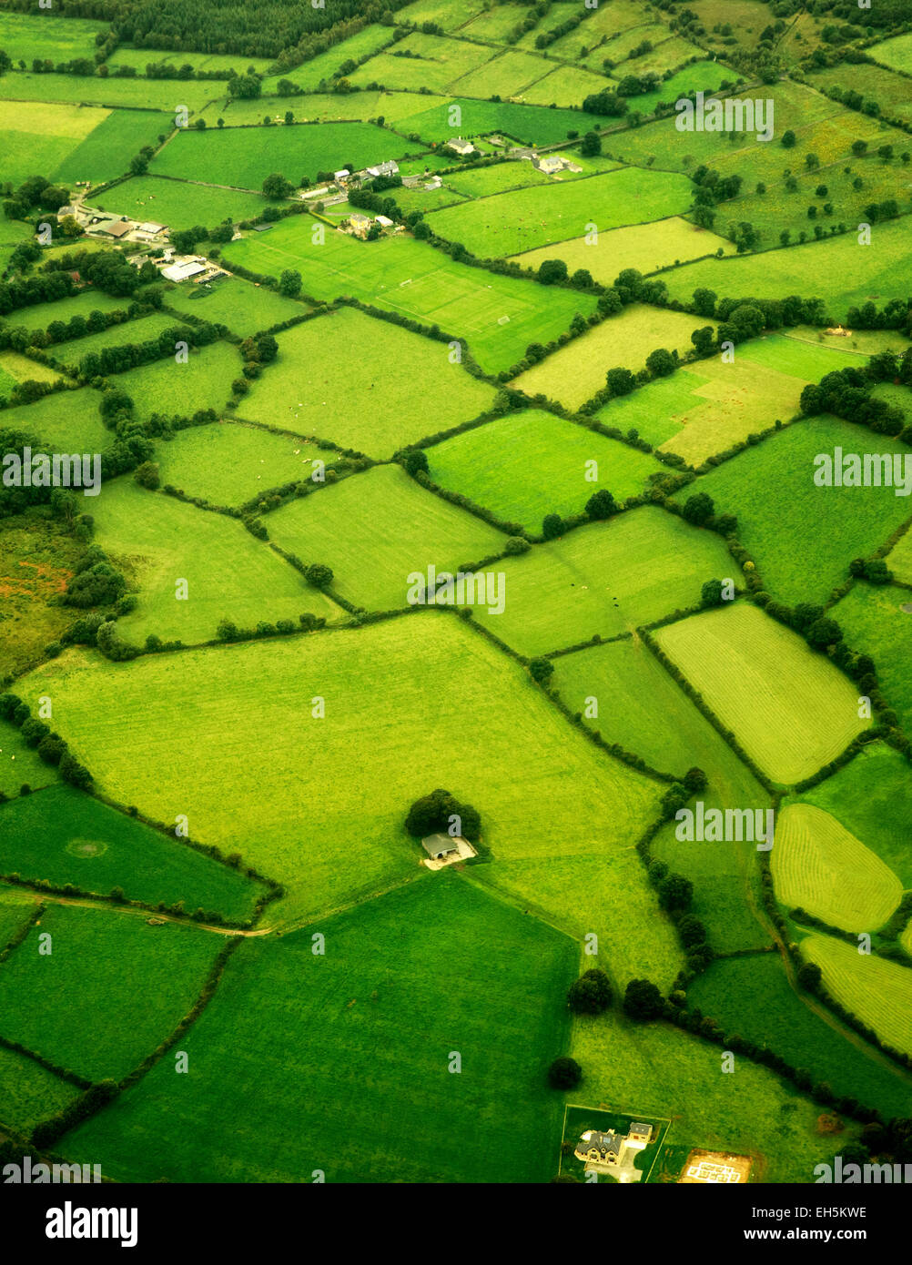 Green pastures as seen from the air. Ireland Stock Photo - Alamy