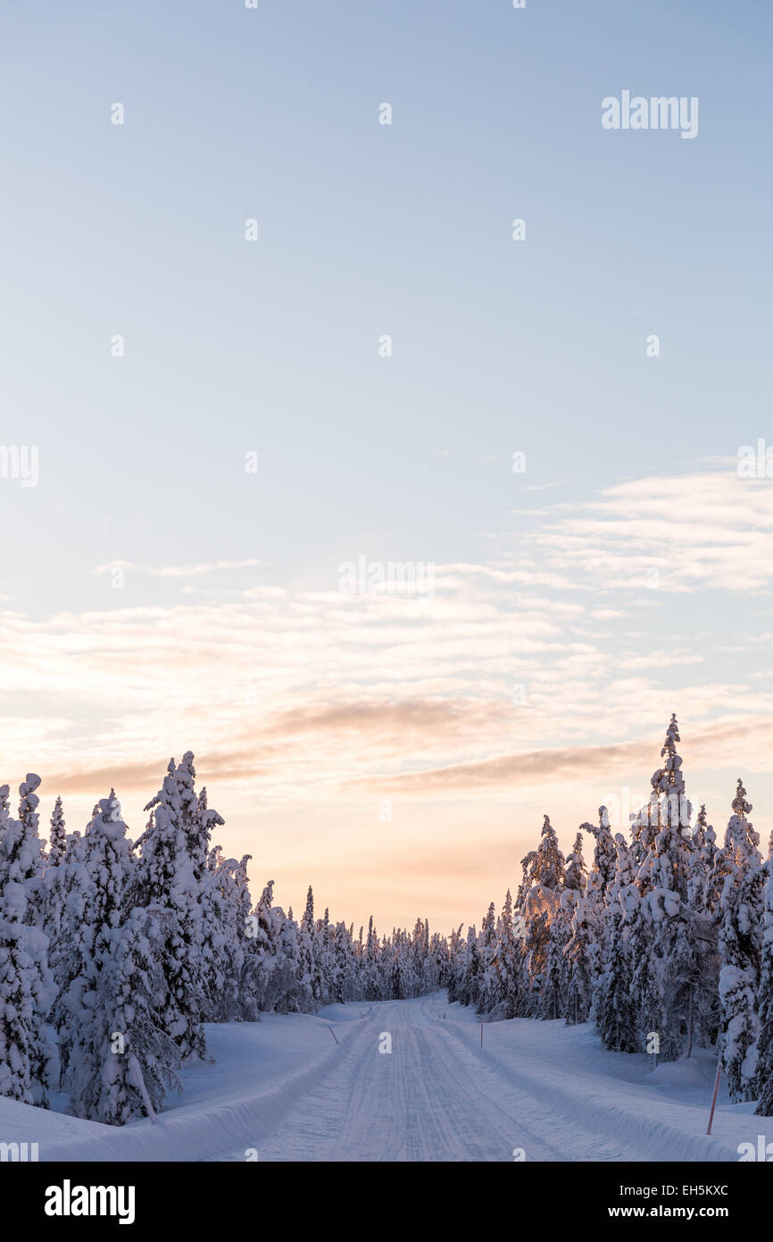 Snowy road scene in Lapland Stock Photo - Alamy